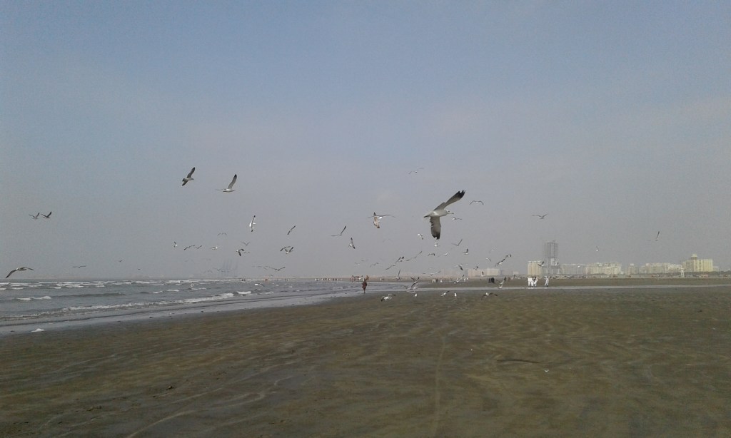 | City Moment – The Papar seller and the SeagullsThe Karachi Walla